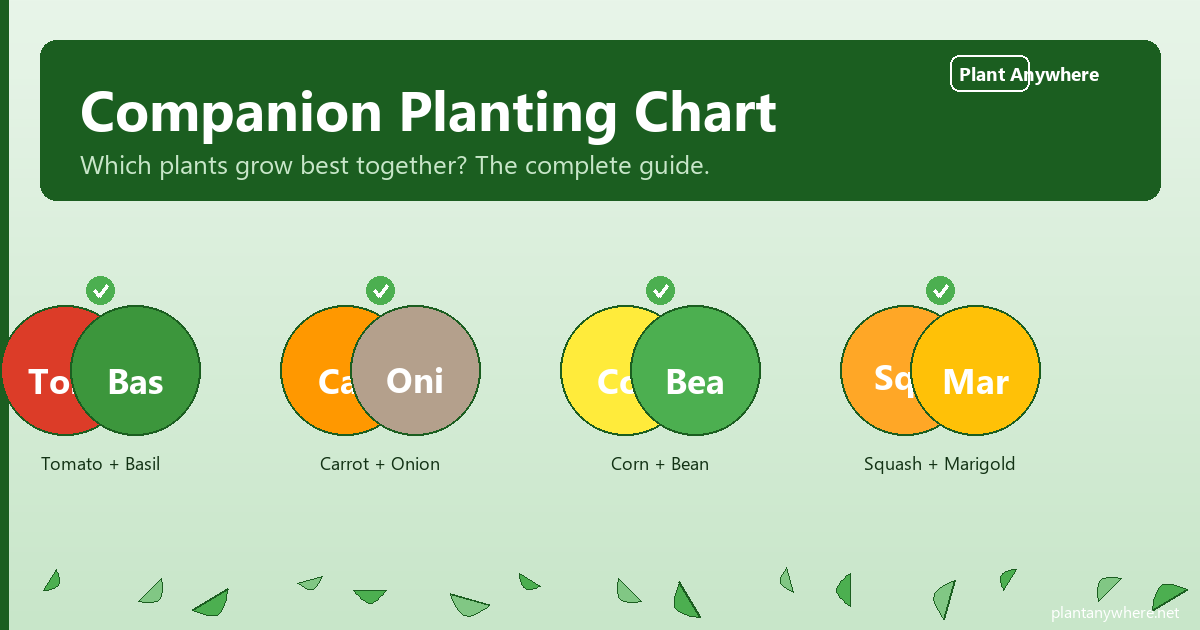 Companion Planting Chart: 248+ Plant Pairs | What Grows Well Together